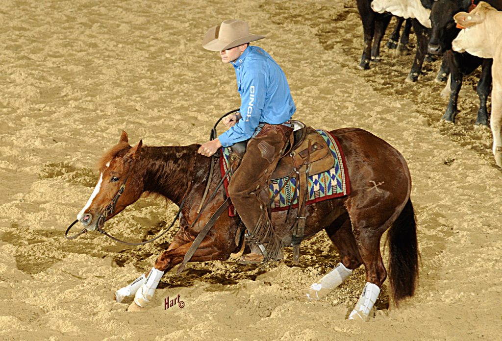 About – Rocking P Ranch