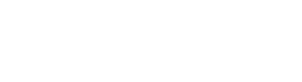 Rey Jay Play – Rocking P Ranch